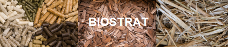 BIOSTRAT — Energy Economics Group